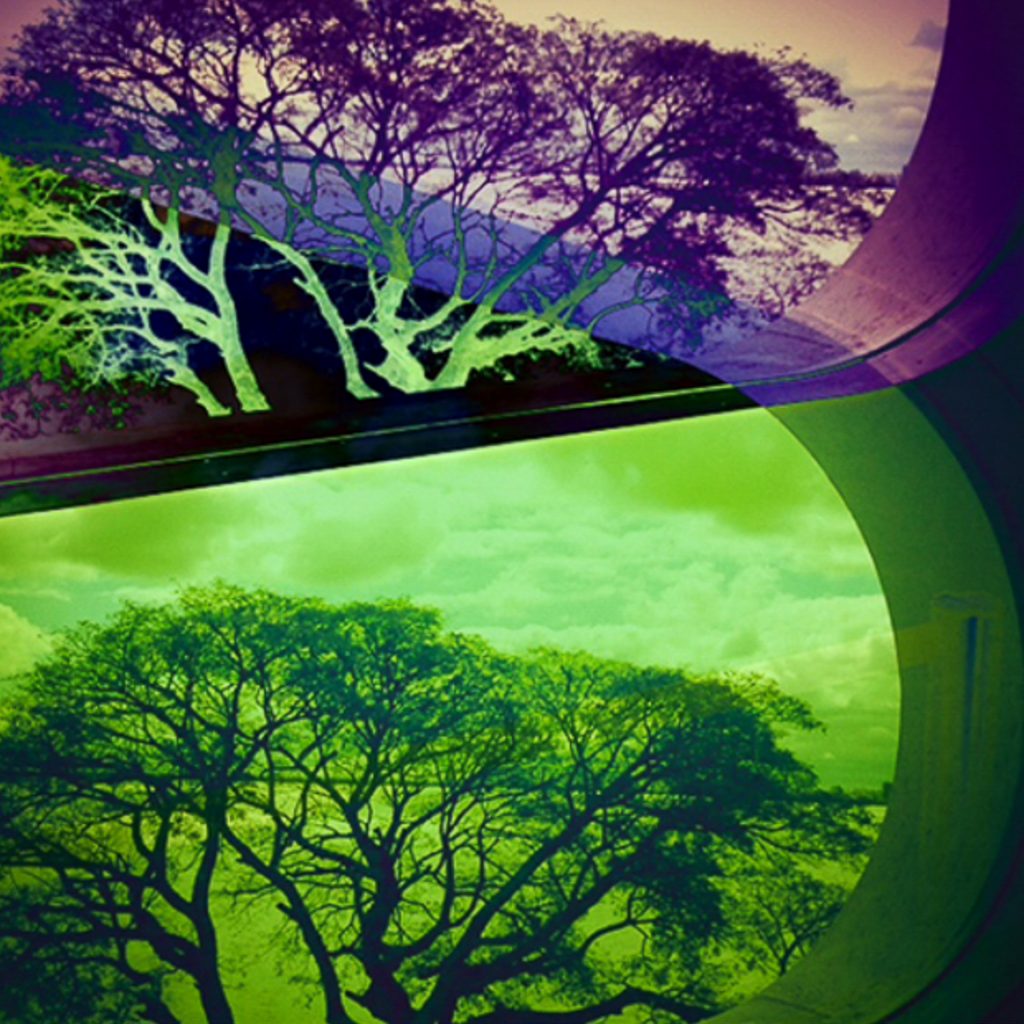 Duplicidade - Samantha Berg